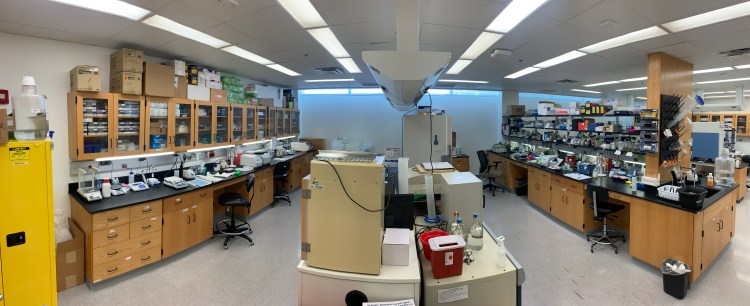 Contact – The Suvorova Lab