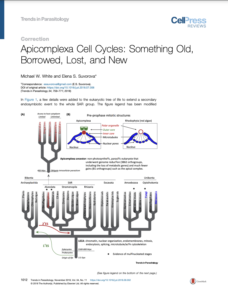 Publications – The Suvorova Lab